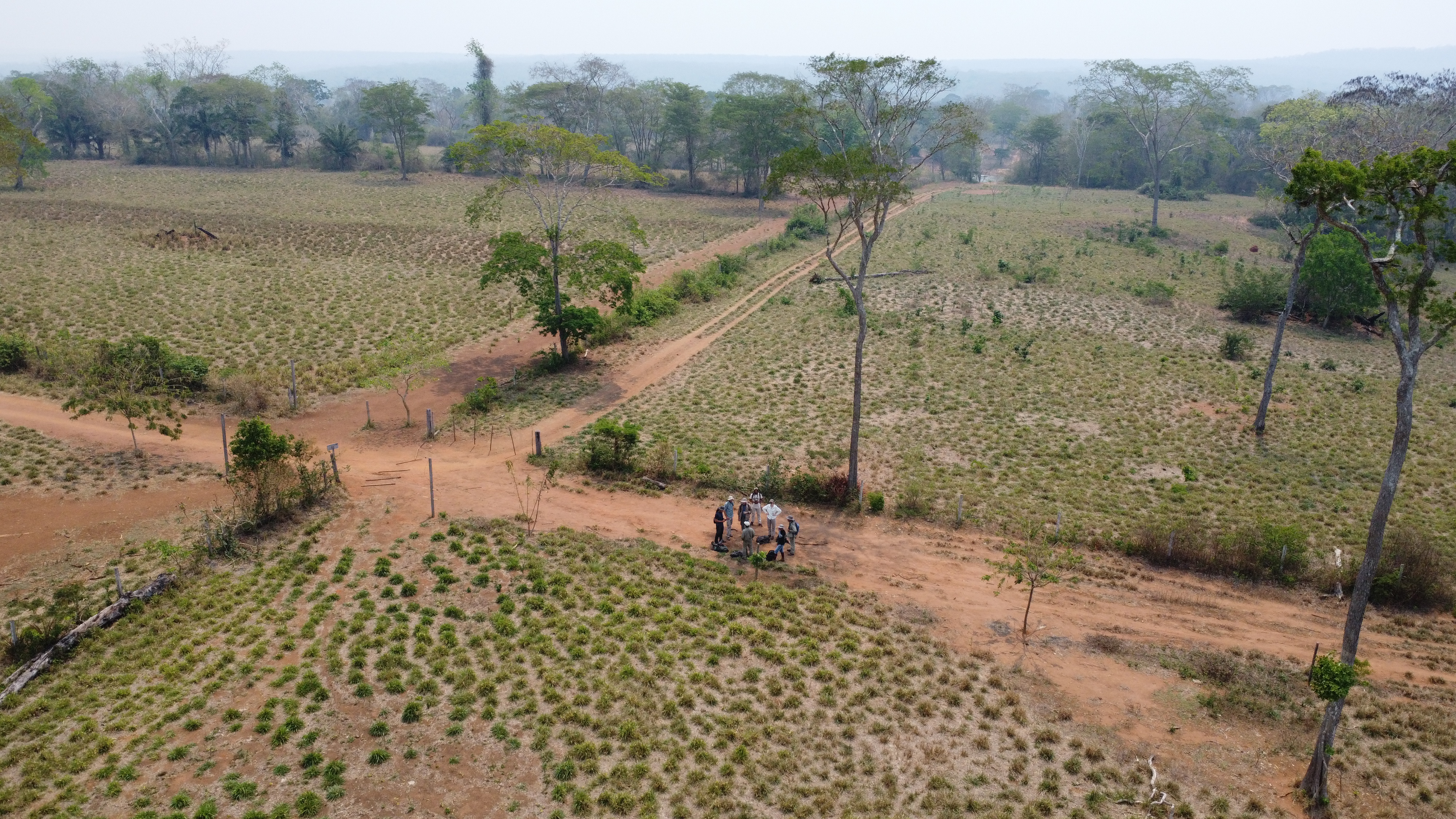 New Tenure Track Professorship on Conservation & Development! | Conservation Biogeography Lab