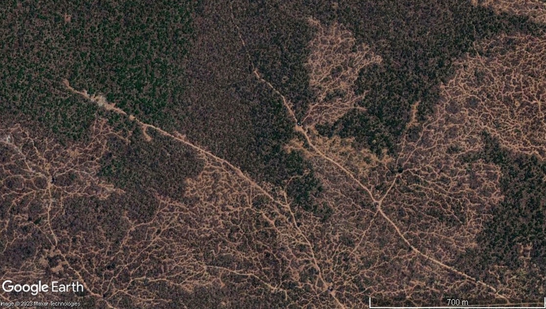 All cleared forests are alike; each disturbed forest is disturbed in ...